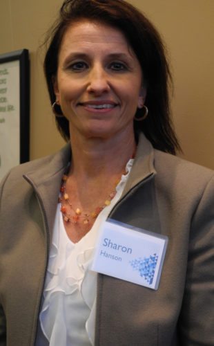 Hanson accepts city admin job | News, Sports, Jobs - Marshall Independent
